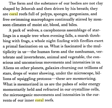 Your mouth is a coral reef – RENATURED